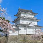 Tokyo: Odawara & Hakone Day Tour with Castle Entry - The Itinerary in Detail