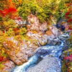 Tokyo Okutama Day trip Tour - Transportation and Group Size