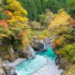 Tokyo: Okutama Day Trip with Hatonosu Gorge - Whats the Value?