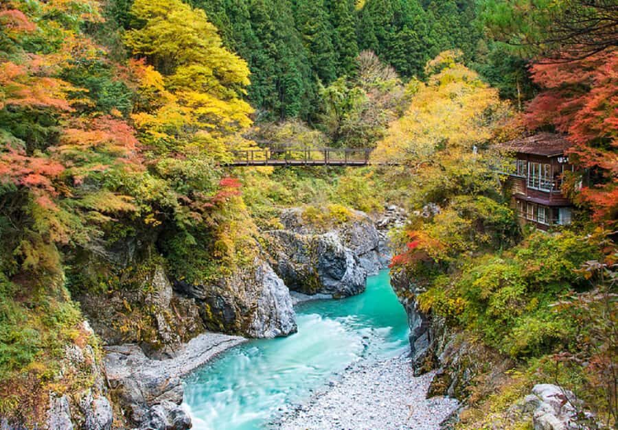 Tokyo: Okutama Day Trip with Hatonosu Gorge - Whats the Value?