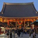 Tokyo Orientation One Day Tour: Taylor Made to Your Needs: - Who This Tour Is Best For