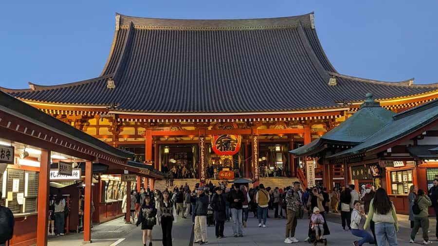 Tokyo Orientation One Day Tour: Taylor Made to Your Needs: - Who This Tour Is Best For