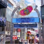 Tokyo Pop Culture & Tradition Tour: Meiji Shrine to Harajuku - Practical Details and Tips