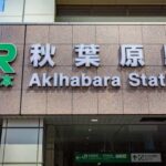 Tokyo: Private Akihabara Anime and Maid Cafe Tour - Who Will Love This Tour?