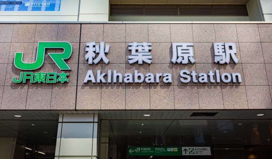 Tokyo: Private Akihabara Anime and Maid Cafe Tour - Who Will Love This Tour?