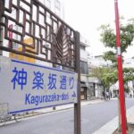 Tokyo Private Art Tour in Kagurazaka Shinjuku with Licensed Guide - Who will enjoy this tour most?