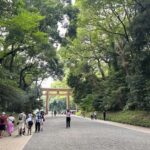 Tokyo: Private City Tour with Spanish-Speaking Guide - Why This Tour Offers Great Value