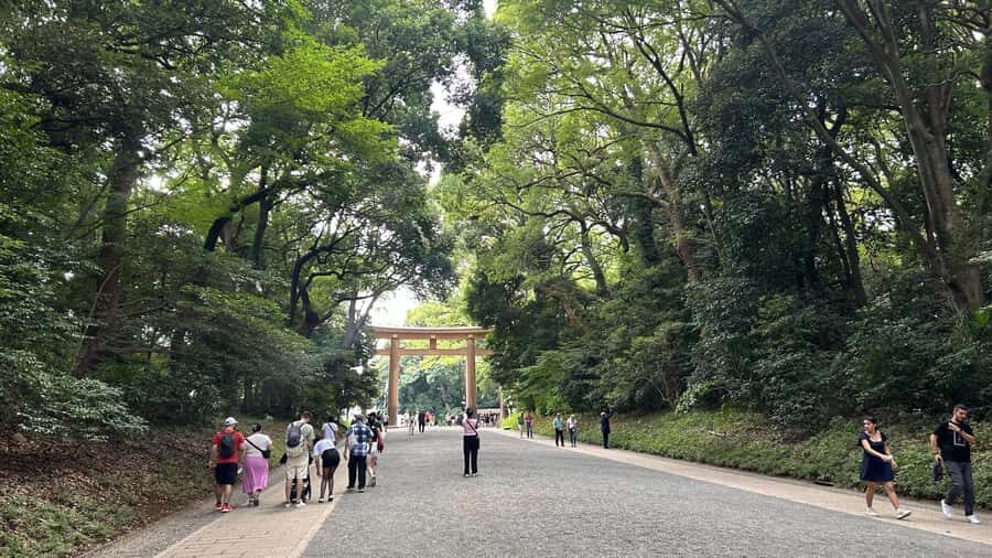 Tokyo: Private City Tour with Spanish-Speaking Guide - Why This Tour Offers Great Value