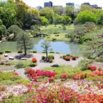 Tokyo: Private & Custom Local Guide TourLuxury Experience - What Travelers Say