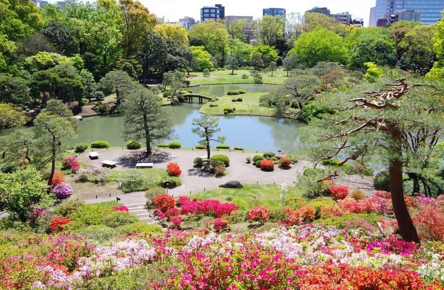 Tokyo: Private & Custom Local Guide TourLuxury Experience - What Travelers Say