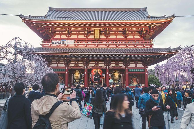 Tokyo Private Customizable Full Day Tour - The Itinerary: A Day Packed with Highlights