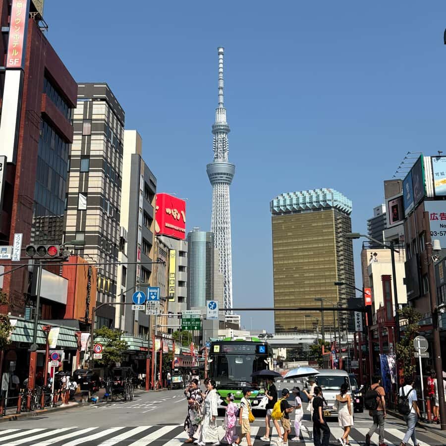 Tokyo: Private Customizable Tour by Car with Local Guide - Final Thoughts: Is This Tour Right for You?
