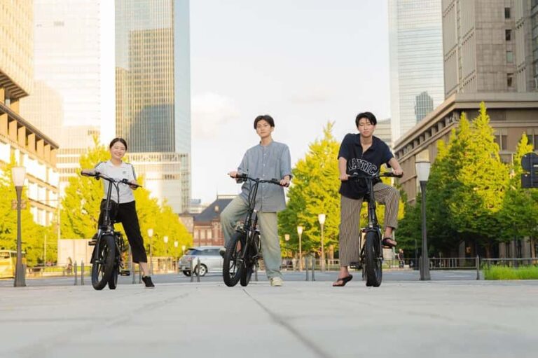 Tokyo: Private E-Bike Tour in the Imperial Palace area - Itinerary Breakdown and Highlights