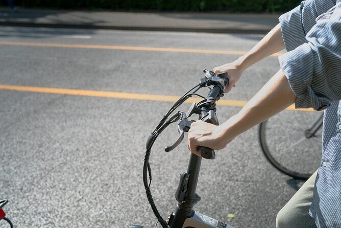 Tokyo: Private E-Bike Tour of the Imperial Palace Area - The Imperial Palace from Outside: Cultural and Scenic