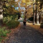 Tokyo: Private Family Park Tour with Couple Alone Time - The Value of a Well-Organized Day in Tokyo’s Green Heart