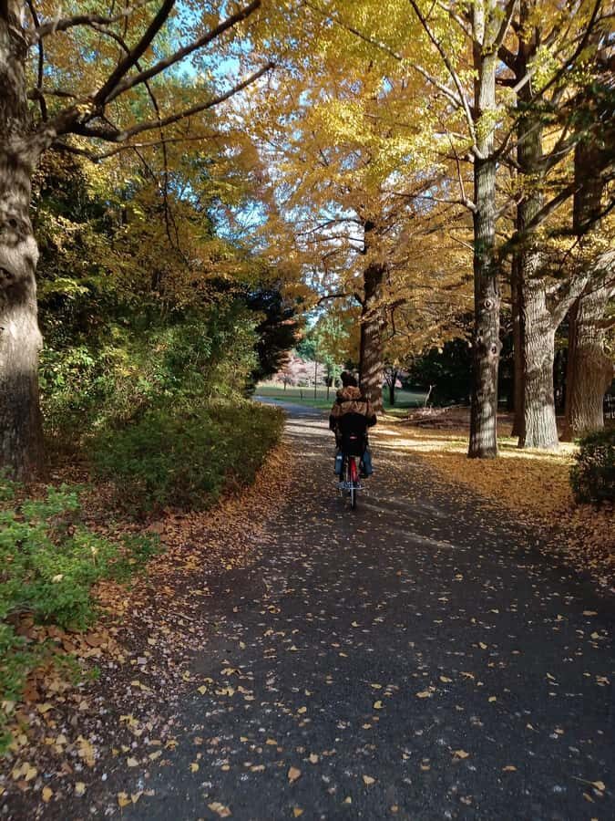 Tokyo: Private Family Park Tour with Couple Alone Time - The Value of a Well-Organized Day in Tokyo’s Green Heart