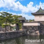 Tokyo: Private Full-Day Sightseeing Tour with Hotel Pickup - What Sets This Tour Apart