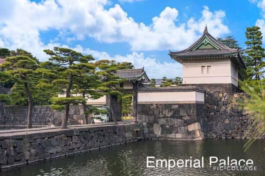 Tokyo: Private Full-Day Sightseeing Tour with Hotel Pickup - What Sets This Tour Apart