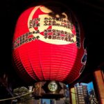 Tokyo Private Guided City Highlight Tour with Local Insights - A Tour of Contrasts: From Temples to Neon Lights