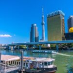 Tokyo Private Guided Day Tour with Private Vehicle Hotel Pickup - The Value in the Experience