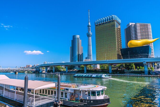 Tokyo Private Guided Day Tour with Private Vehicle Hotel Pickup - The Value in the Experience