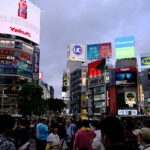 Tokyo: Private Guided Tour with a Local - Analyzing the Experience