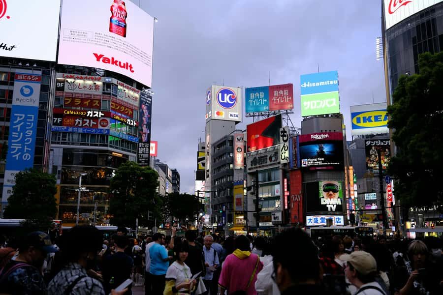 Tokyo: Private Guided Tour with a Local - Analyzing the Experience