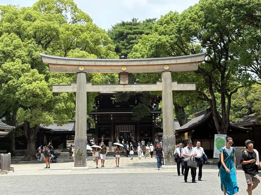 Tokyo: Private Half-Day Highlights Tour by Car with Guide - Who Should Book This Tour?