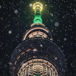 Tokyo: Private Izu Peninsula & Shimoda Day Trip - The Detailed Itinerary: What to Expect