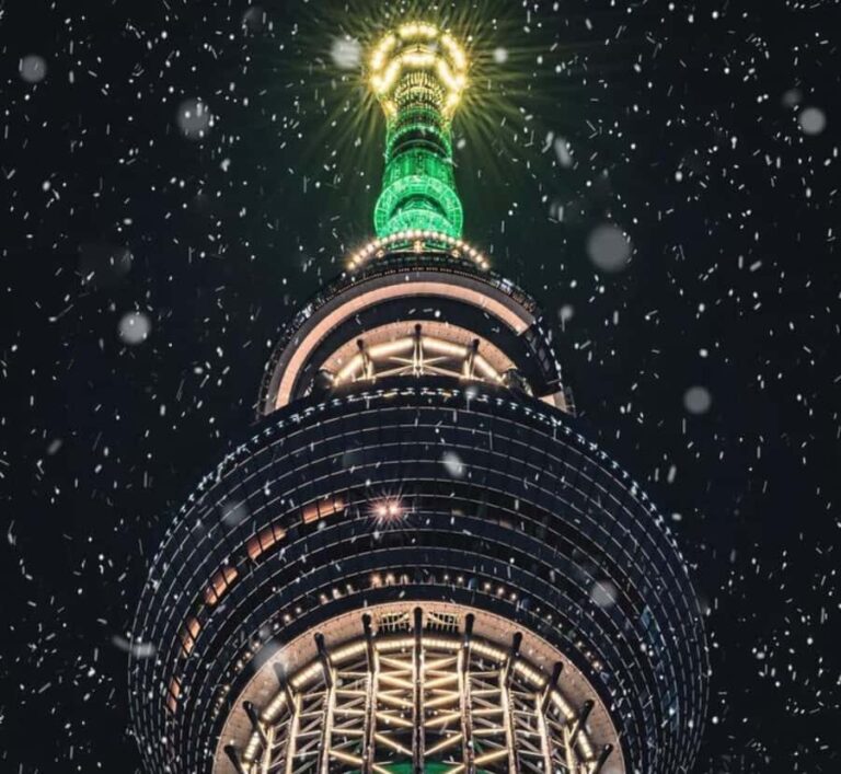 Tokyo: Private Izu Peninsula & Shimoda Day Trip - The Detailed Itinerary: What to Expect