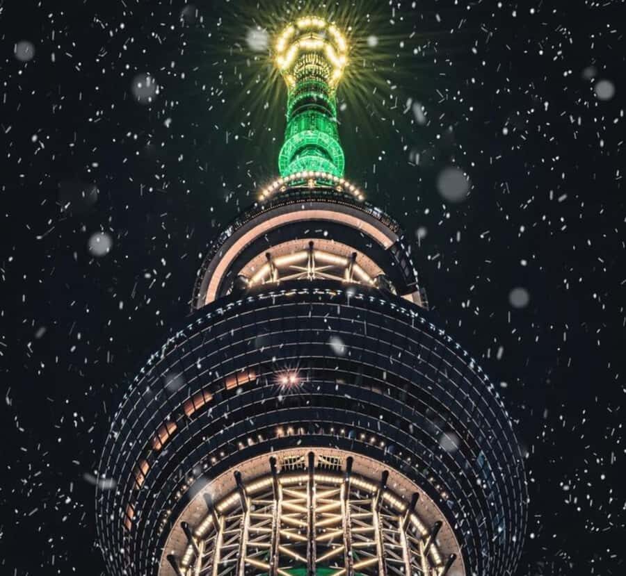 Tokyo: Private Izu Peninsula & Shimoda Day Trip - The Detailed Itinerary: What to Expect