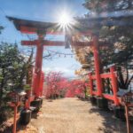 Tokyo: Private Mt.Fuji Day Trip with English-Speaking Driver - Authenticity and Value