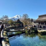Tokyo: Private Mt. Fuji & Hakone Day Tour by Luxury Car - The Practical Side: Logistics and Value