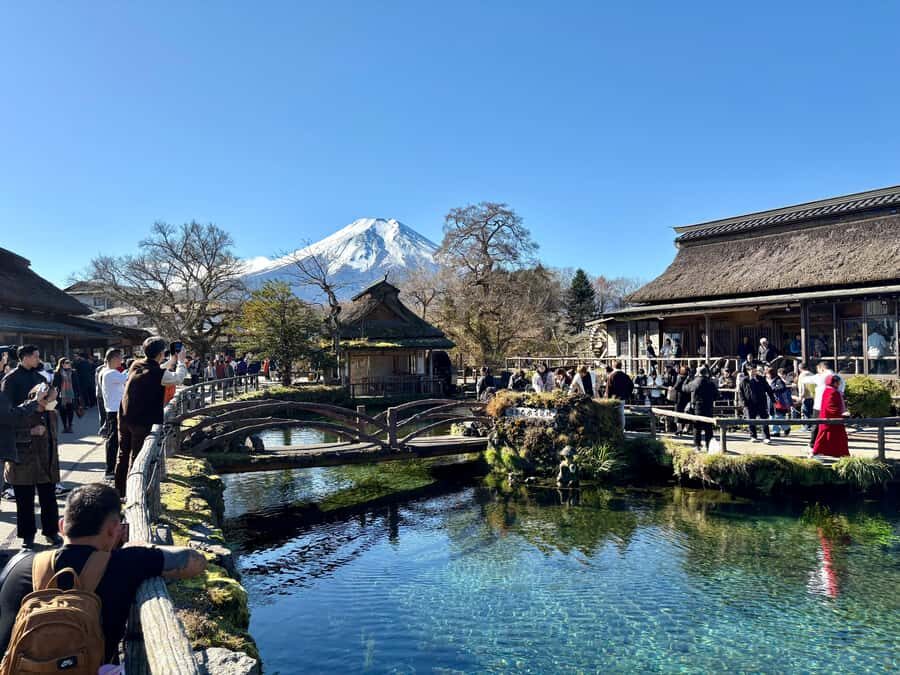 Tokyo: Private Mt. Fuji & Hakone Day Tour by Luxury Car - The Practical Side: Logistics and Value