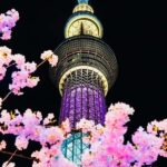 Tokyo: Private Night Tour with Hotel Pickup - What’s Included and How It Works