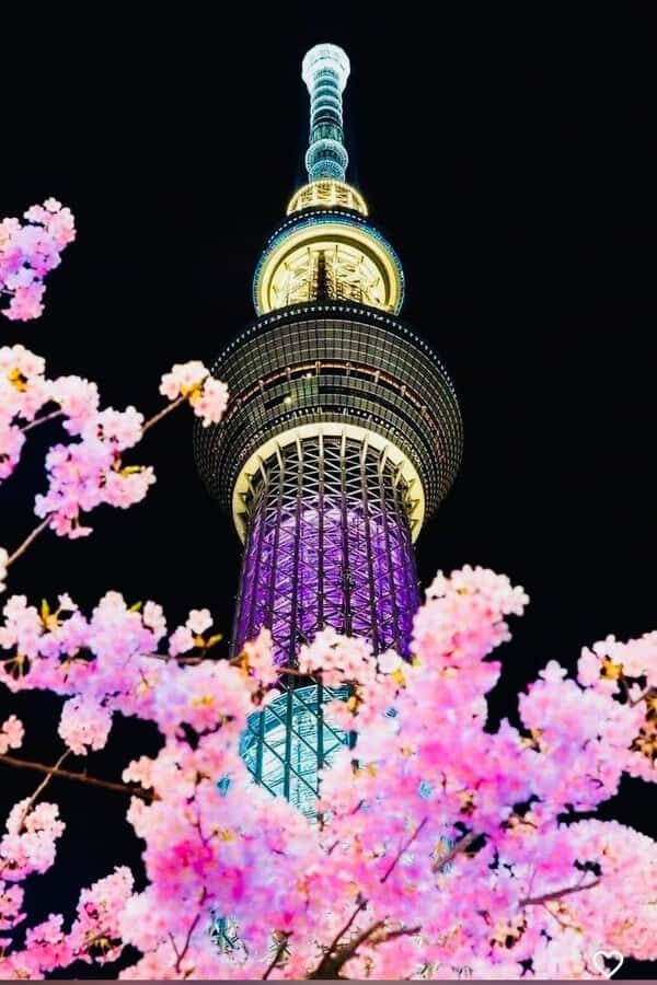 Tokyo: Private Night Tour with Hotel Pickup - What’s Included and How It Works