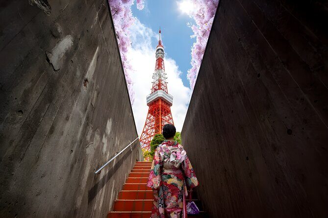 Tokyo Private Sightseeing Tour by Car and English Speaking Driver - What’s Included and What’s Not