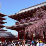 Tokyo Private Sightseeing Tour by Car with Local Guide - Who Would Love This Tour?