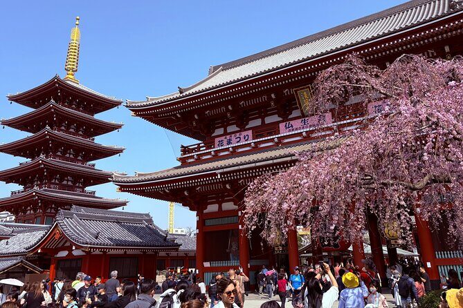 Tokyo Private Sightseeing Tour by Car with Local Guide - Who Would Love This Tour?