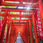 Tokyo: Private Spiritual Shrines Tour by Car with Guide - The Value of Cultural Connection and Souvenirs