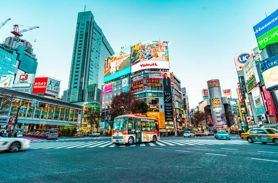 Tokyo Private Tour Discover the Best of Japans Capital - Who Should Consider This Tour?