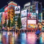 Tokyo Private Tour with English Speaking Driver Customizable - Exploring Tokyo in Comfort and Style