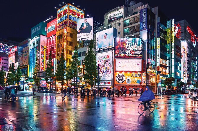 Tokyo Private Tour with English Speaking Driver Customizable - Exploring Tokyo in Comfort and Style