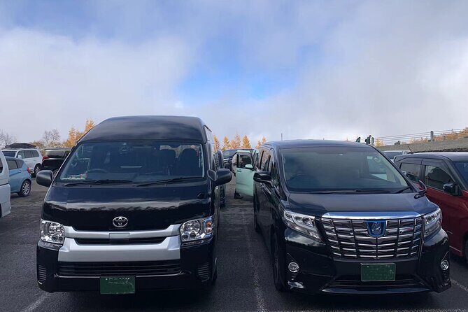 Tokyo Private Transfer From or To Haneda Airport (HND) - Meeting and Transfer Experience