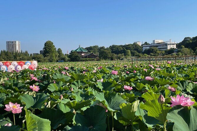 Tokyo: Private Ueno Highlights & Local Gem Walking Tour - Authentic Insights from Past Participants