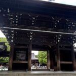 Tokyo Private Walking Tour Shibuya, Harajuku and Meiji Jingu - Practical Details and What to Expect
