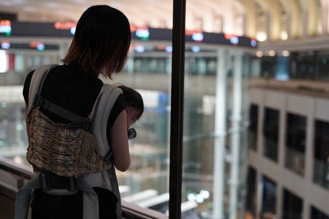 Tokyo Private Walking Tour - The Practicalities: What You Need to Know