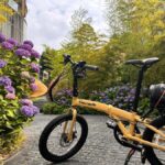 TOKYO: Professional Gardener Guides Gardens by E-bike -BASIC - Who Is This Tour Best For?