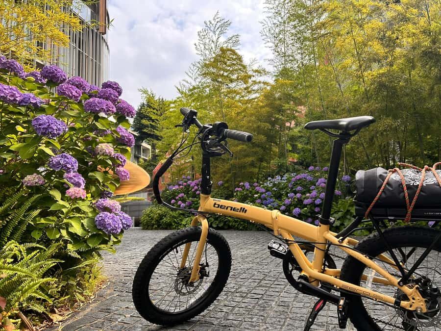 TOKYO: Professional Gardener Guides Gardens by E-bike -BASIC - Who Is This Tour Best For?