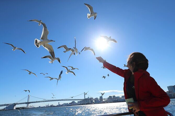 Tokyo: Seagull Feeding or Sunset Bay Cruise with Local Guide - The Sum Up